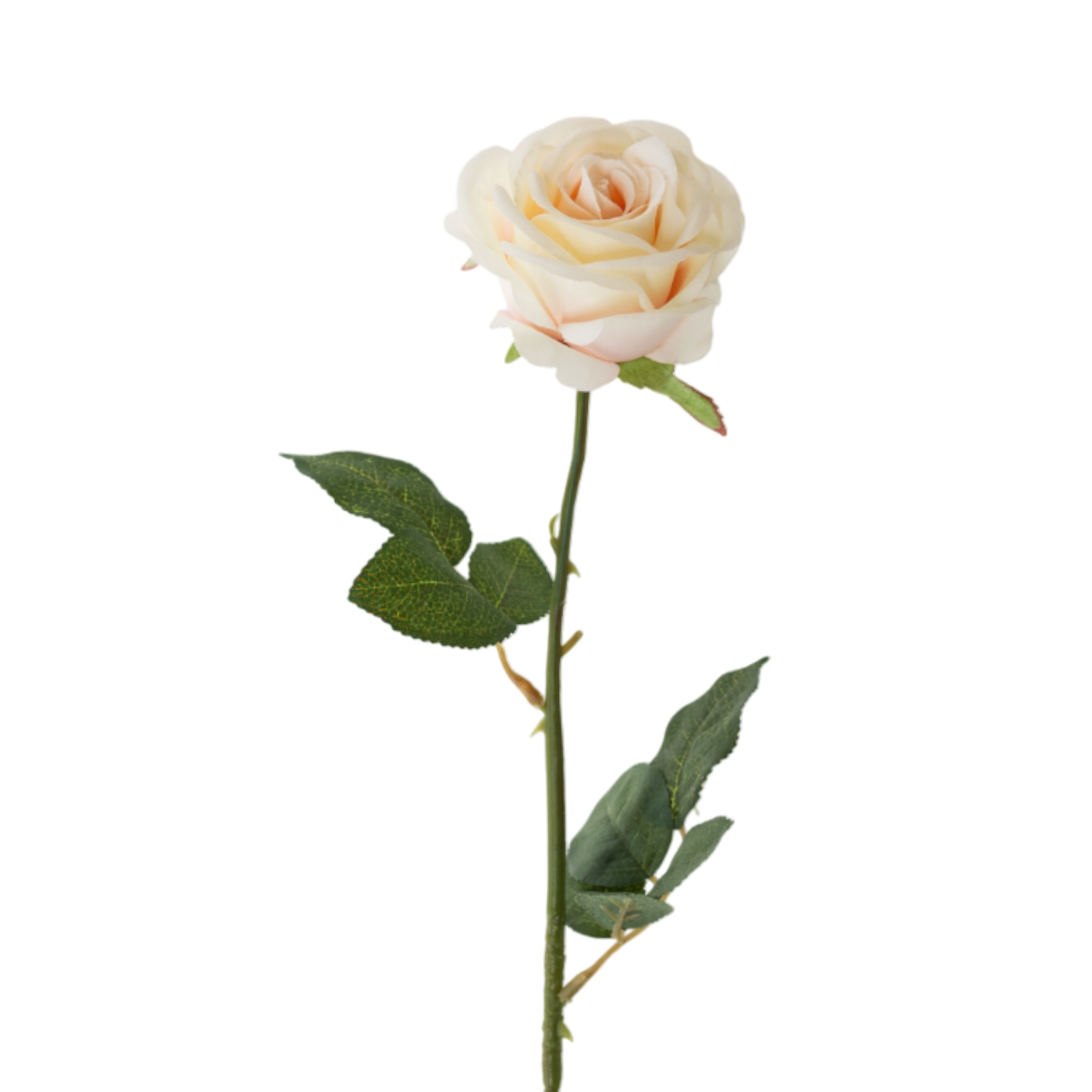 FS135 WH Rose 26" PK 12 | Myrians Wholesale Décor