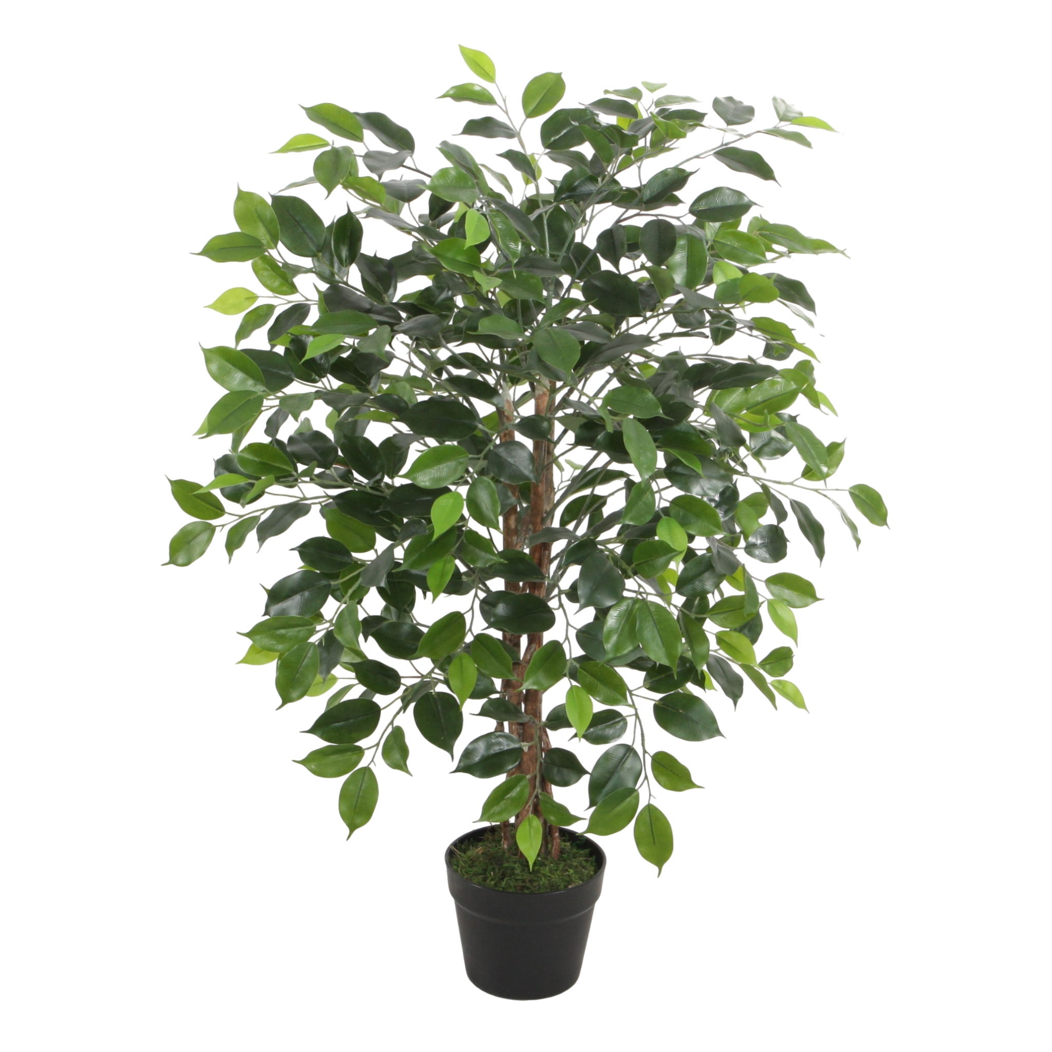 PTT108 Wood Trunk Ficus Tree 3' PK 1 | Myrians Wholesale Décor
