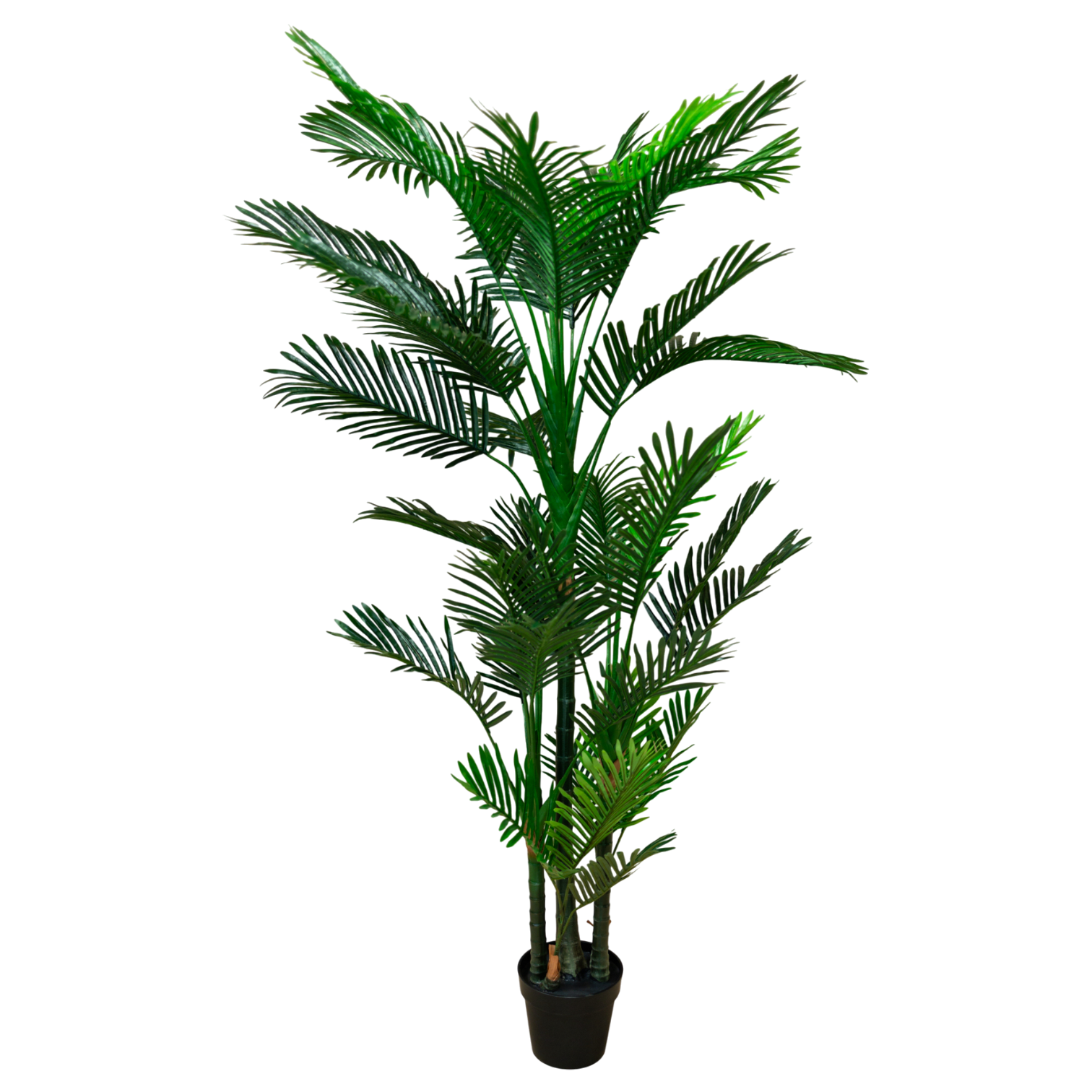 PTT134 Potted Mini Palm Tree 6' PK1 | Myrians Wholesale Décor