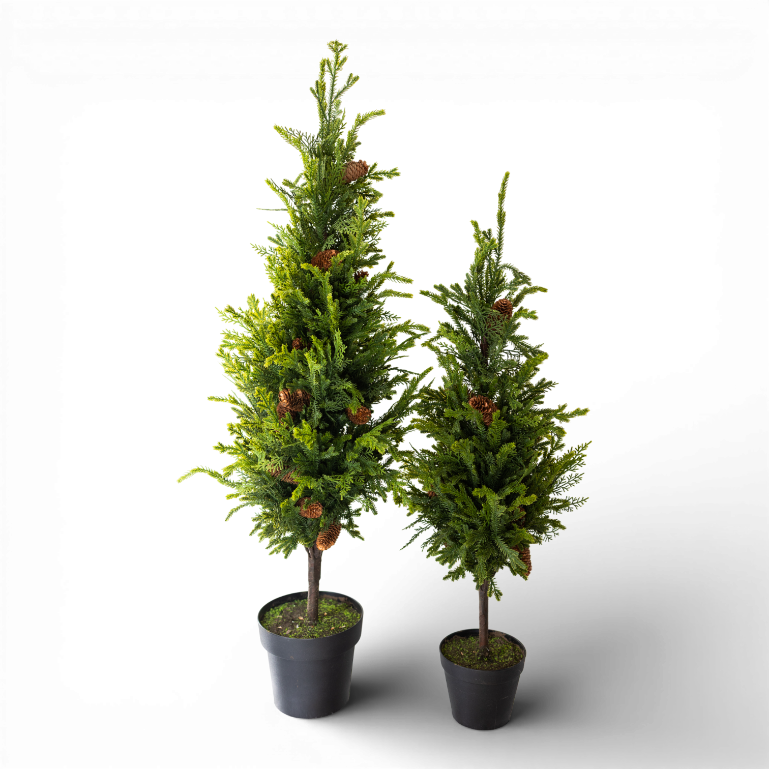 TR128 Potted Real Touch Cypress Spruce Tree 38" & 48" (Set of 2) PK1 ...